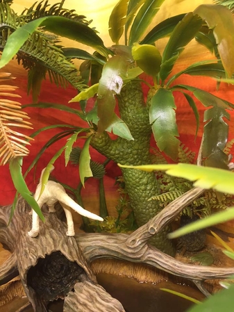 Fred Nocella - frednocellaswamp01 - Prehistoric Scenes Gallery